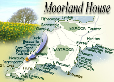 B&B Bed & Breakfast St Mawgan Cornwall - Moorland House